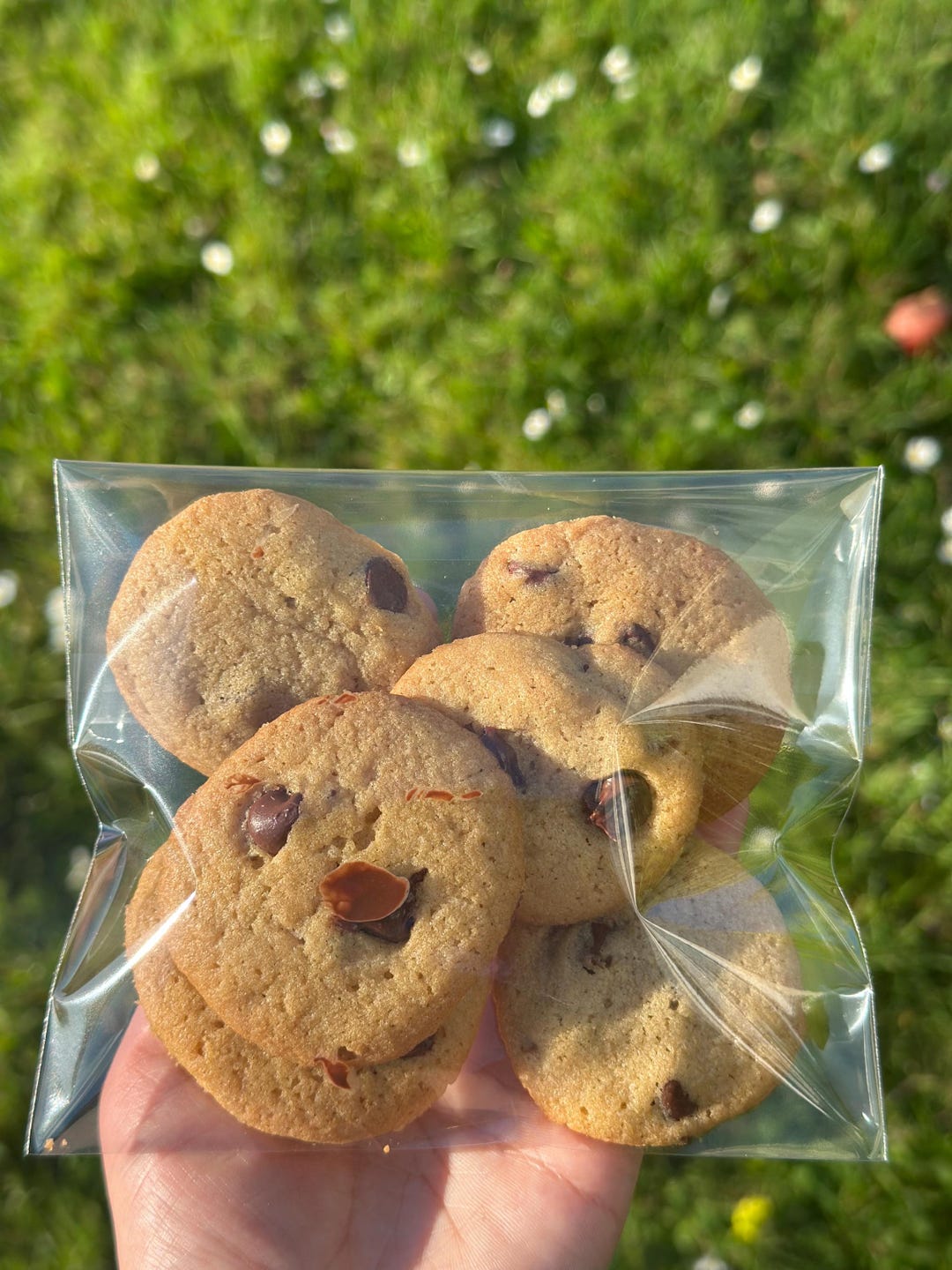 Mini Choclate Chip Cookies - Etsy