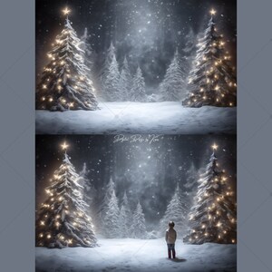 Winter Wonderland Digital Backdrop Bundle, 4 Christmas Digital ...