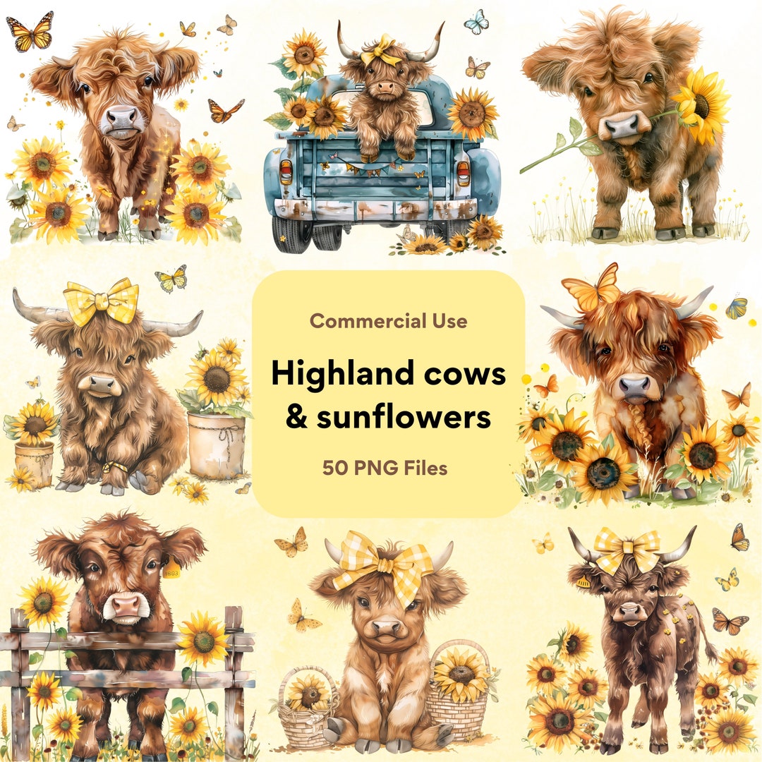 Baby Highland Cow Sunflower Clipart: Watercolor PNG Bundle (digital ...