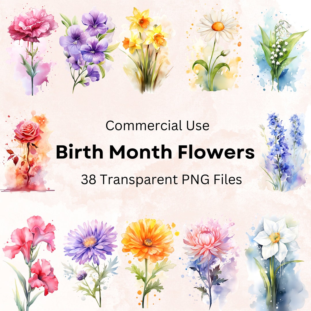 Watercolor Birth Month Flowers Clipart: 38 PNG Floral Designs (digital ...