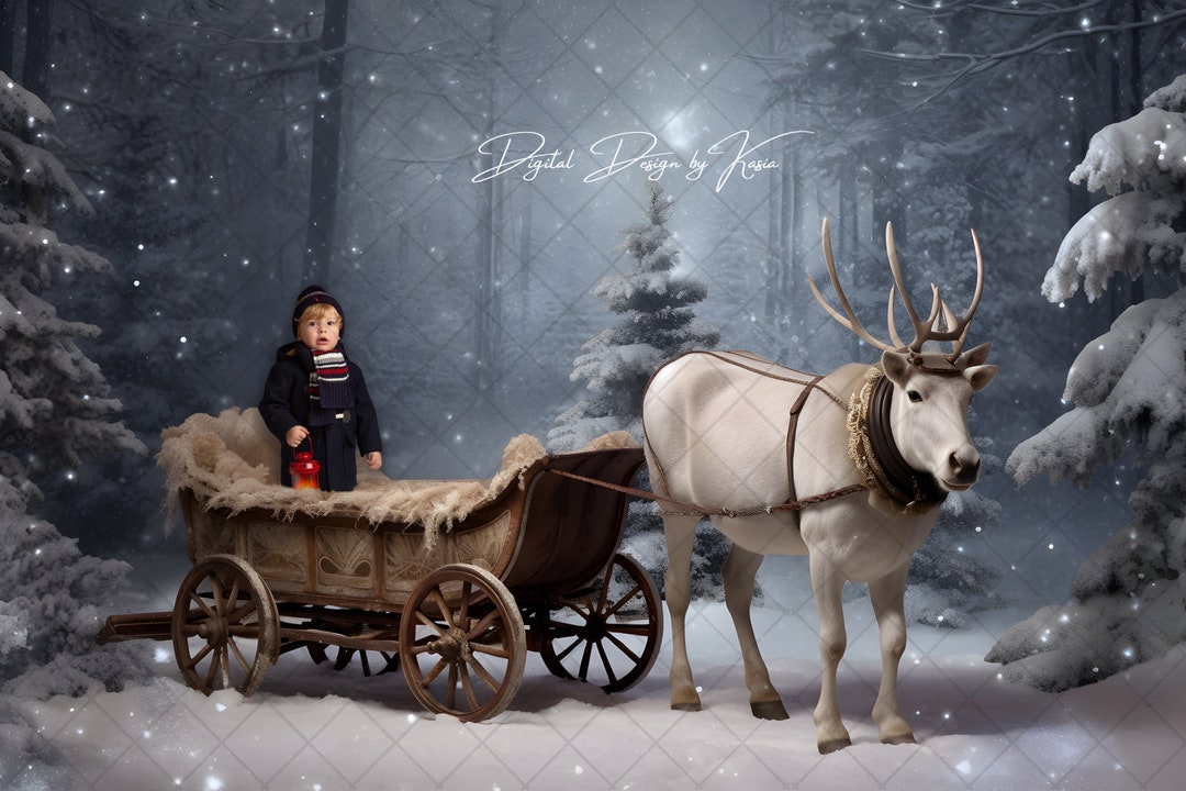Christmas Sleigh Digital Backdrop Photography, Winter Wonderland ...
