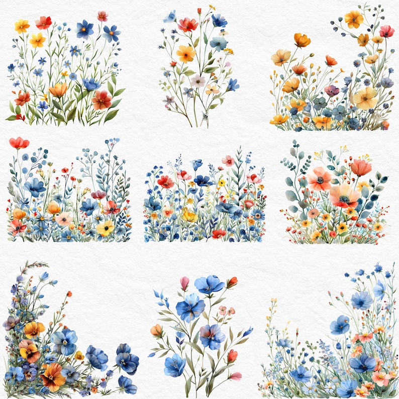 Watercolor Wildflower Clipart: Meadow Floral PNG Set (digital Download ...