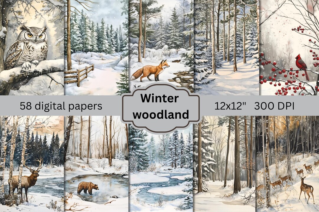 Winter Woodland Digital Paper: Snowy Forest Scenes (digital Download ...