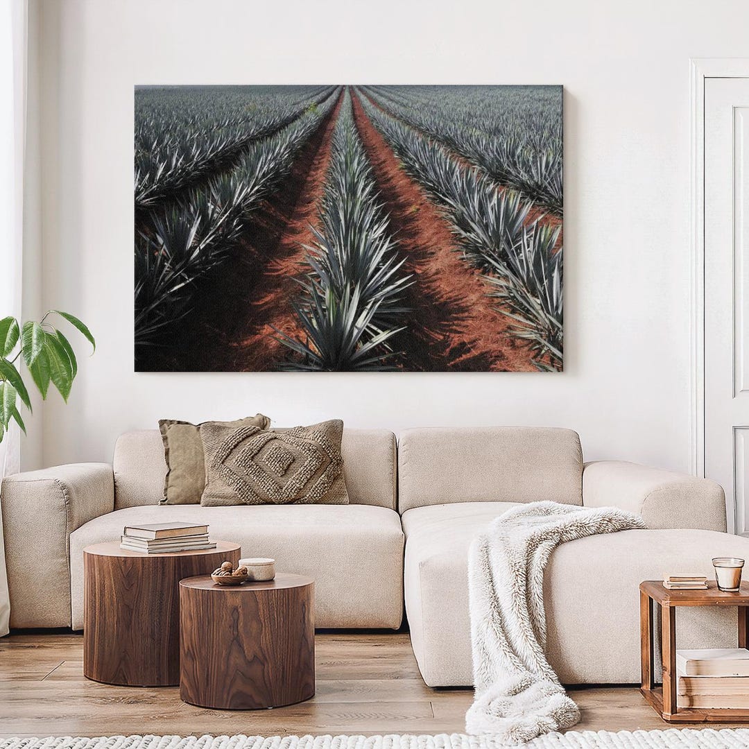 Elephant Stock Agave Field Wall Art - Horizontal Framed Canvas - Living ...