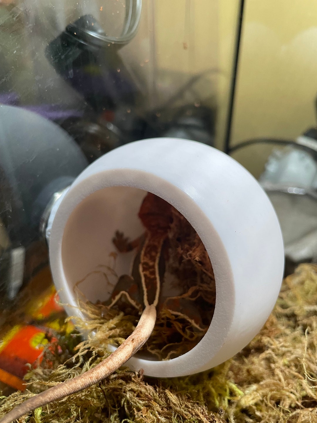 3D Printed Magnetic Sphere Hide for Terrarium and Other - Etsy