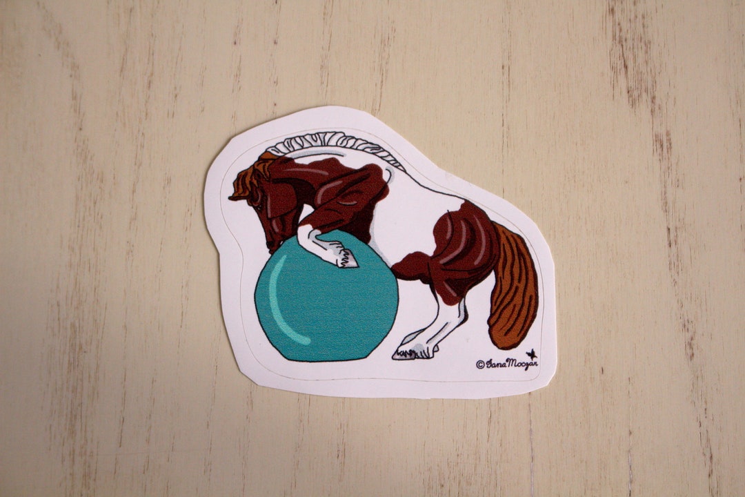 Pinto Shetland Pony Horse Lover Equine Sticker Decoration - Etsy