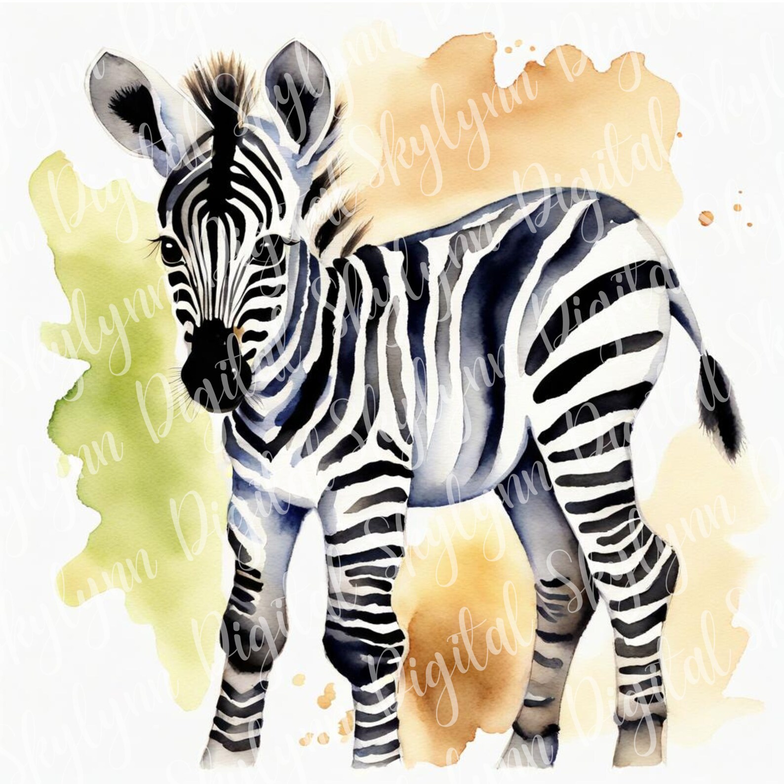Set of Watercolor Baby Zebra Clipart Png Image Digital Download for ...