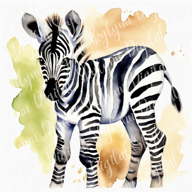 Set of Watercolor Baby Zebra Clipart Png Image Digital Download for ...