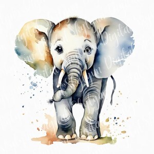 Set of Watercolor Baby Elephant Perfect for Baby's Room or Any Project ...