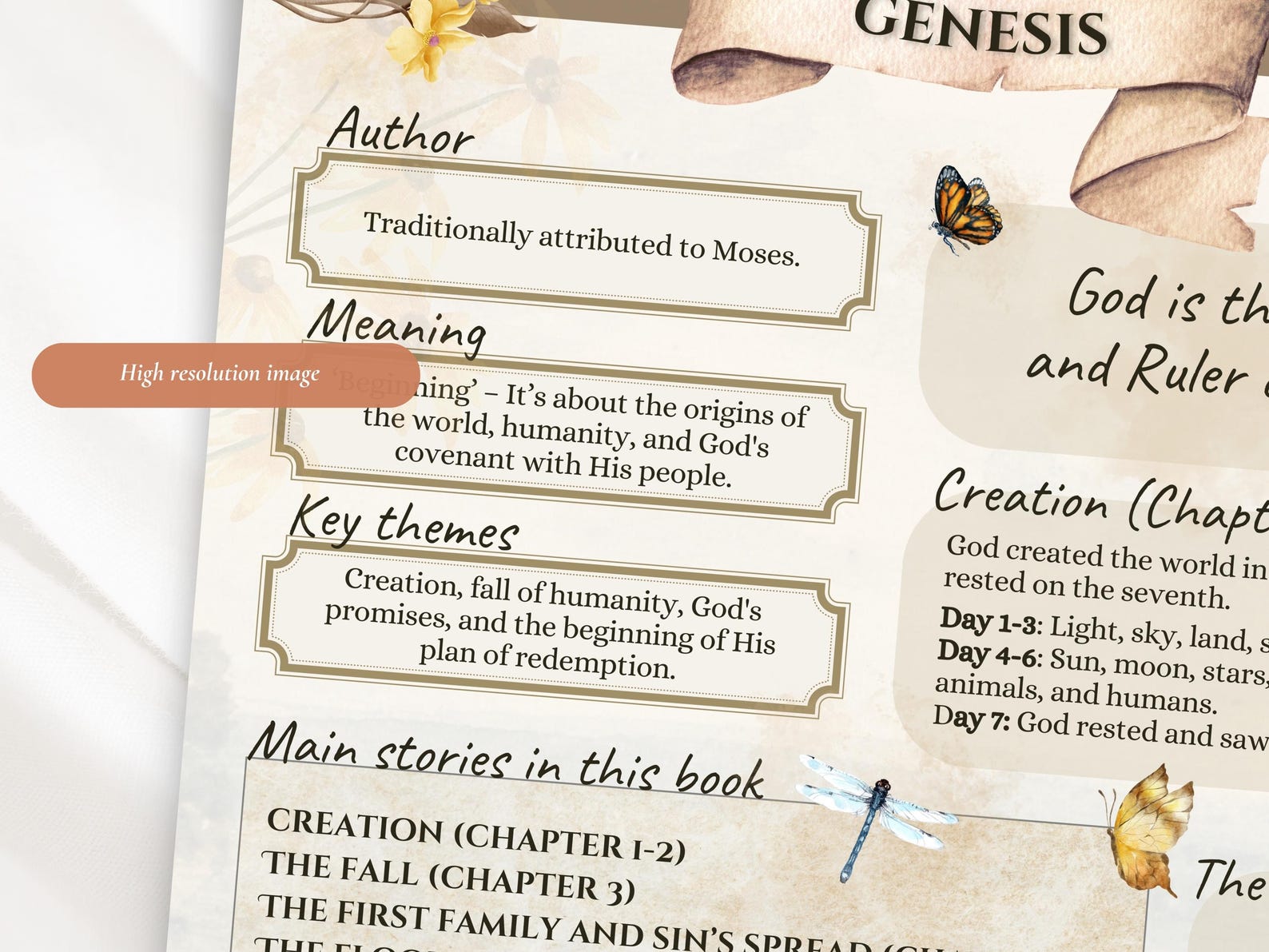 Genesis Made Simple | Easy to Use Bible Study Guide | Printable Old ...