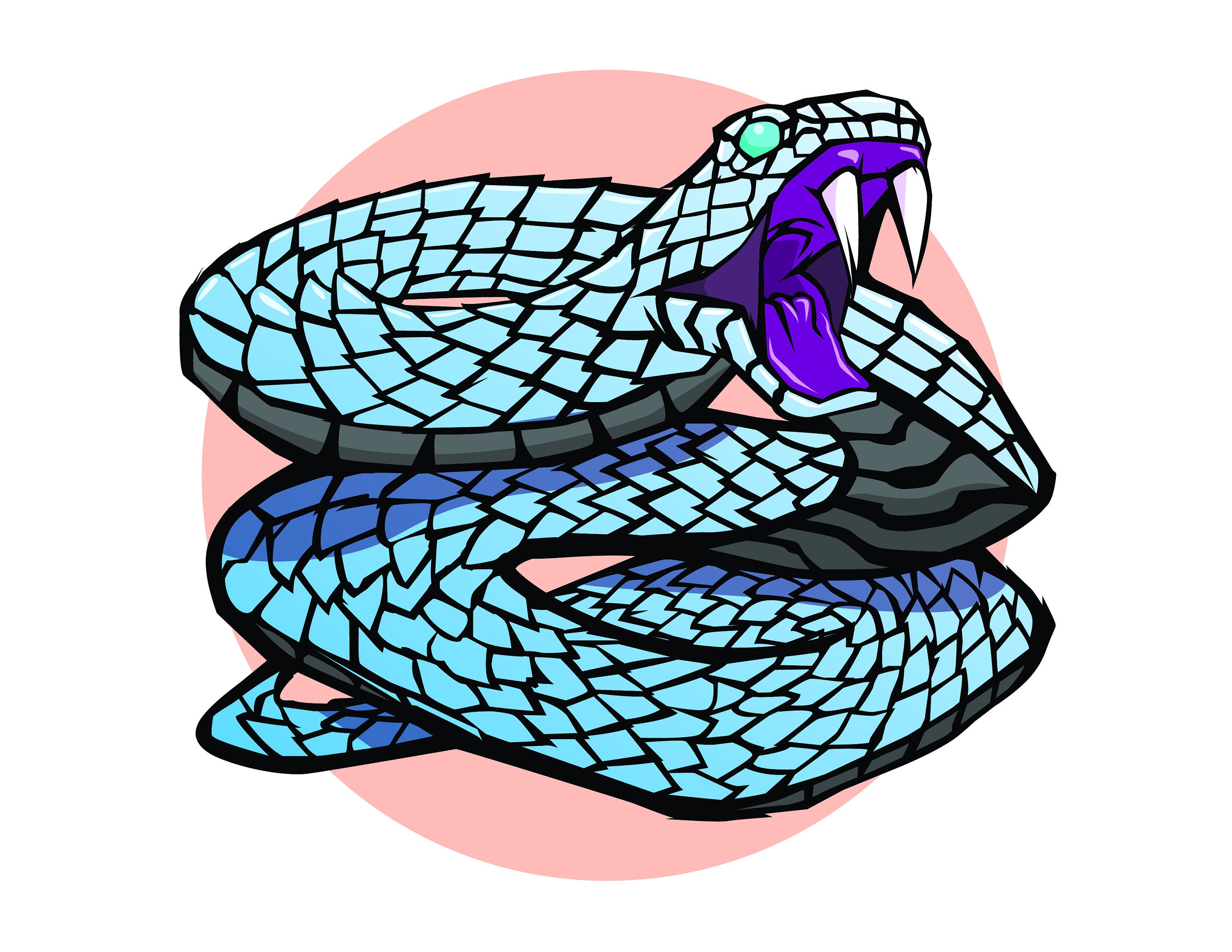 5 Deadly Venoms - Centipede Snake Scorpion Lizard Toad - SVG PNG Pack ...