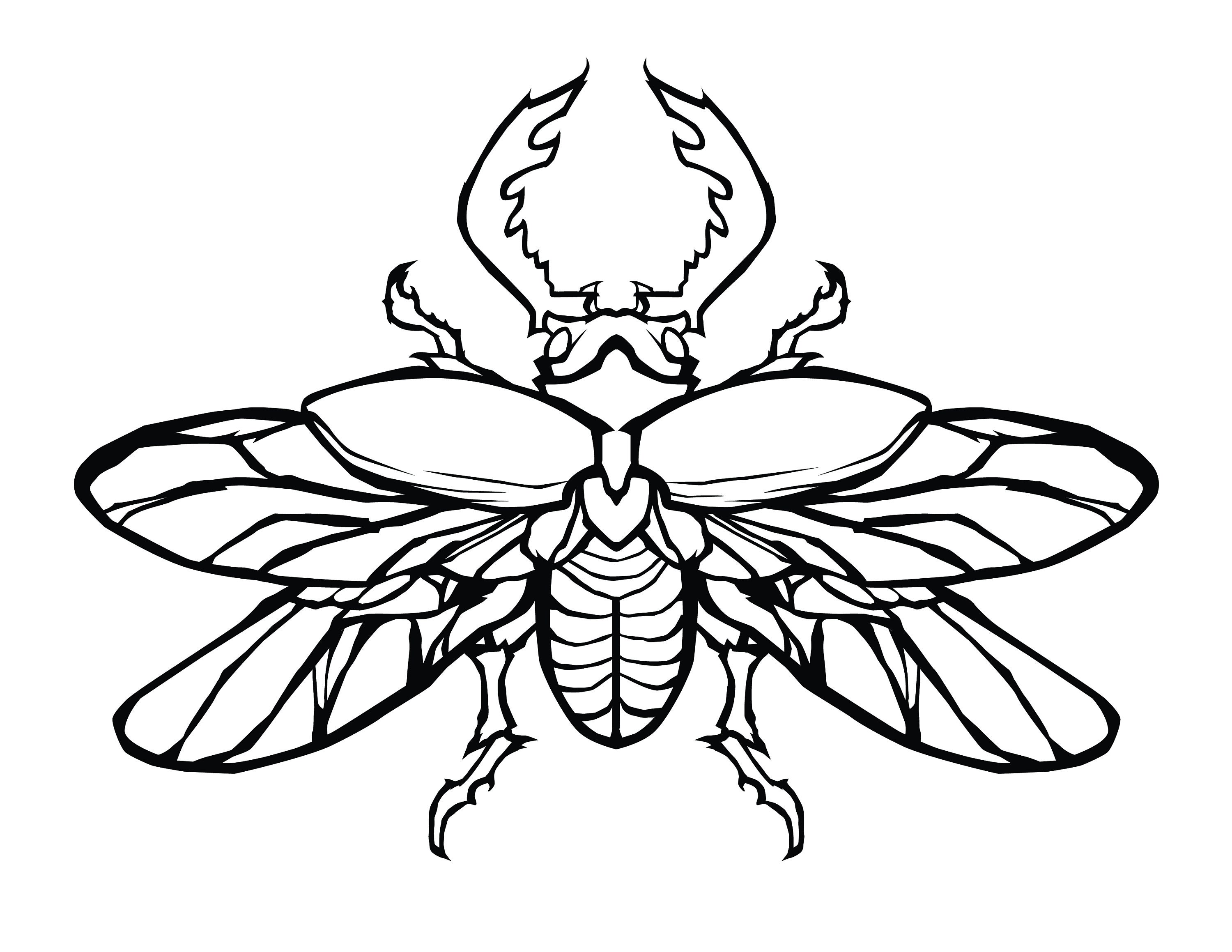 Stag Beetle SVG PNG Bundle - Etsy