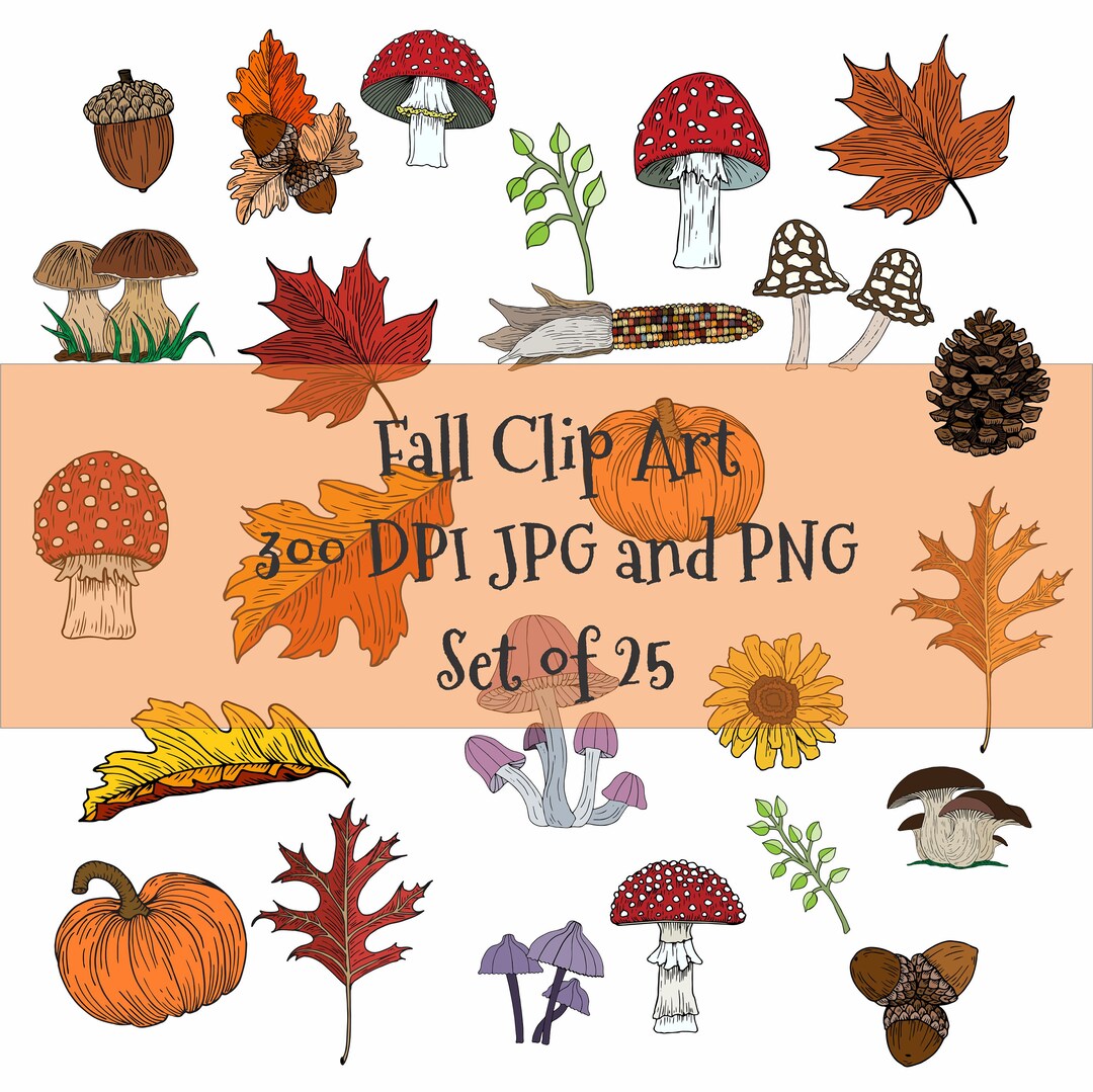 Fall Clip Art Set of 25 300 DPI JPG and PNG - Etsy