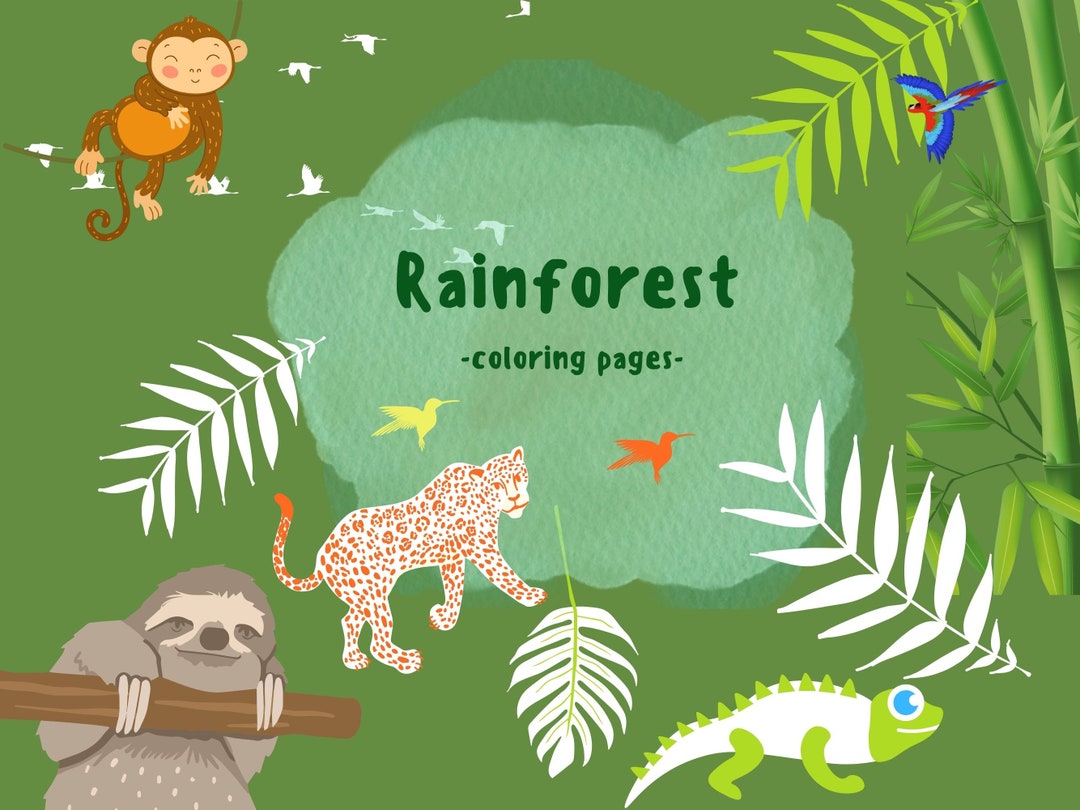 Rainforest Animals Coloring Pages - Etsy