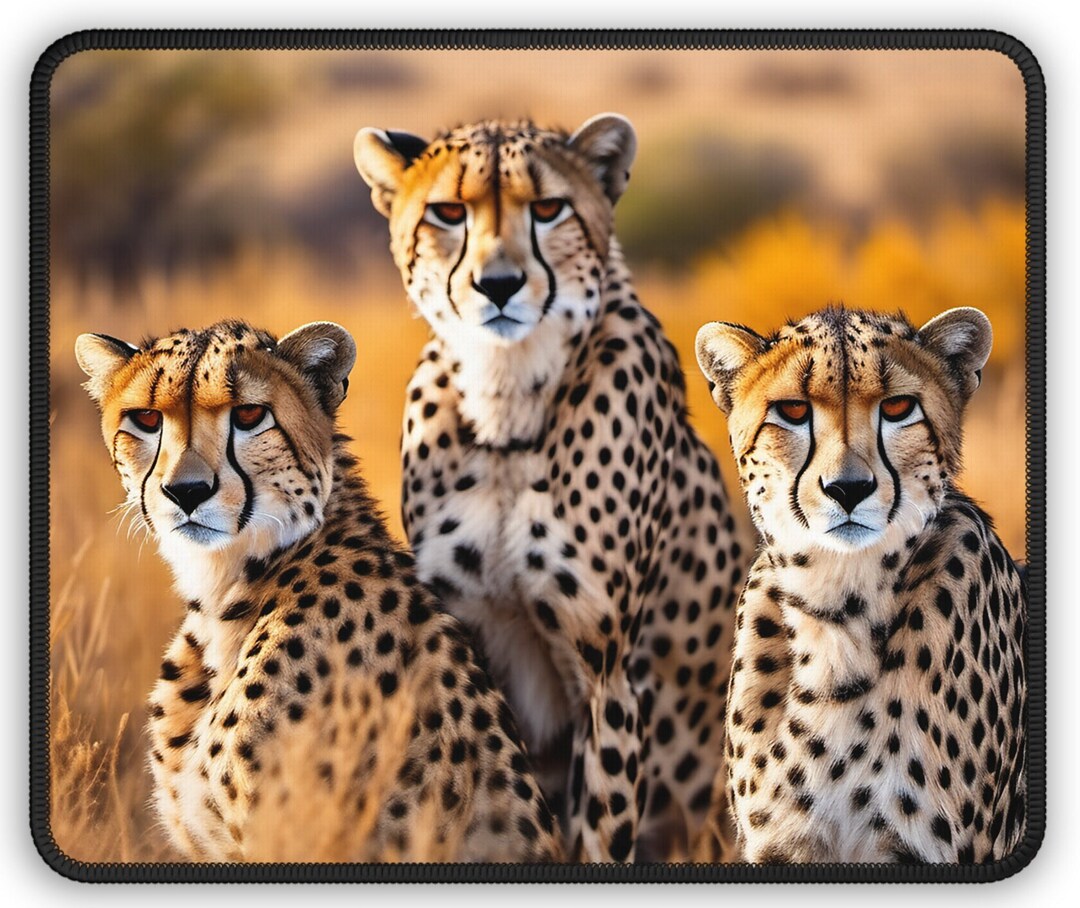 Cheetah Mouse Pad, Three Cheetahs in a Meadow, Big Mouse Pad, Gaming Mouse Pad, 9x7 Mouse Pad ...
