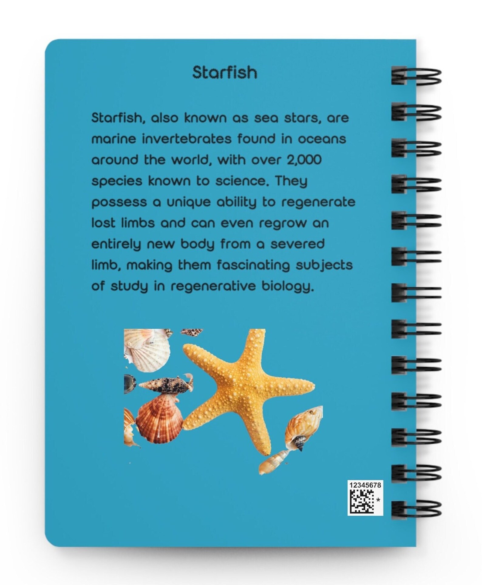 Starfish Beach Notebook With Glossy Laminated Cover, Another Starfish ...
