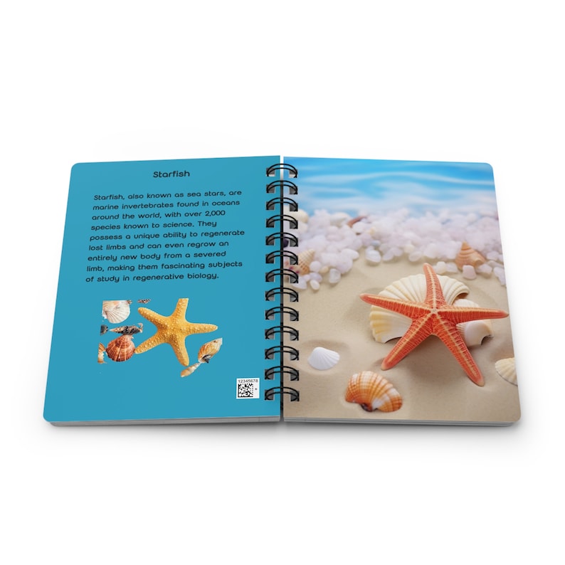Starfish Beach Notebook With Glossy Laminated Cover, Another Starfish ...