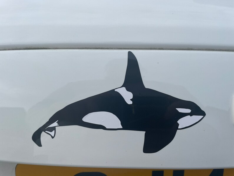 Orca killer Whale John Coe & Aquarius Car Sticker - Etsy