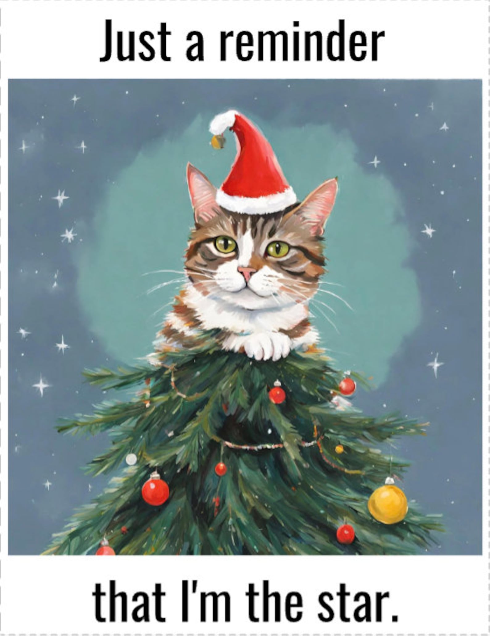 I'm the Star Cat 10 Cards Envelopes Printed Christmas Cards - Etsy