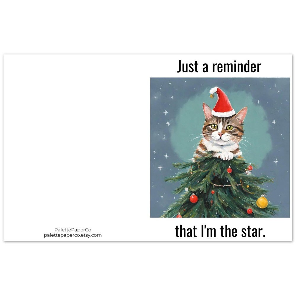 I'm the Star Cat 10 Cards Envelopes Printed Christmas Cards - Etsy