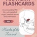 ANATOMY FLASHCARDS - Printable. Anatomy of the Face and Head. - Etsy