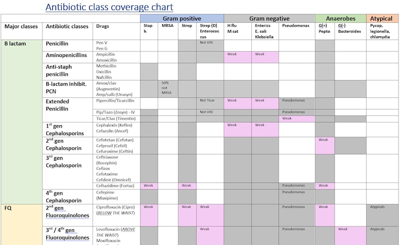 Overview of Bacterial Infections and Quick Antibiotic Guide - Etsy