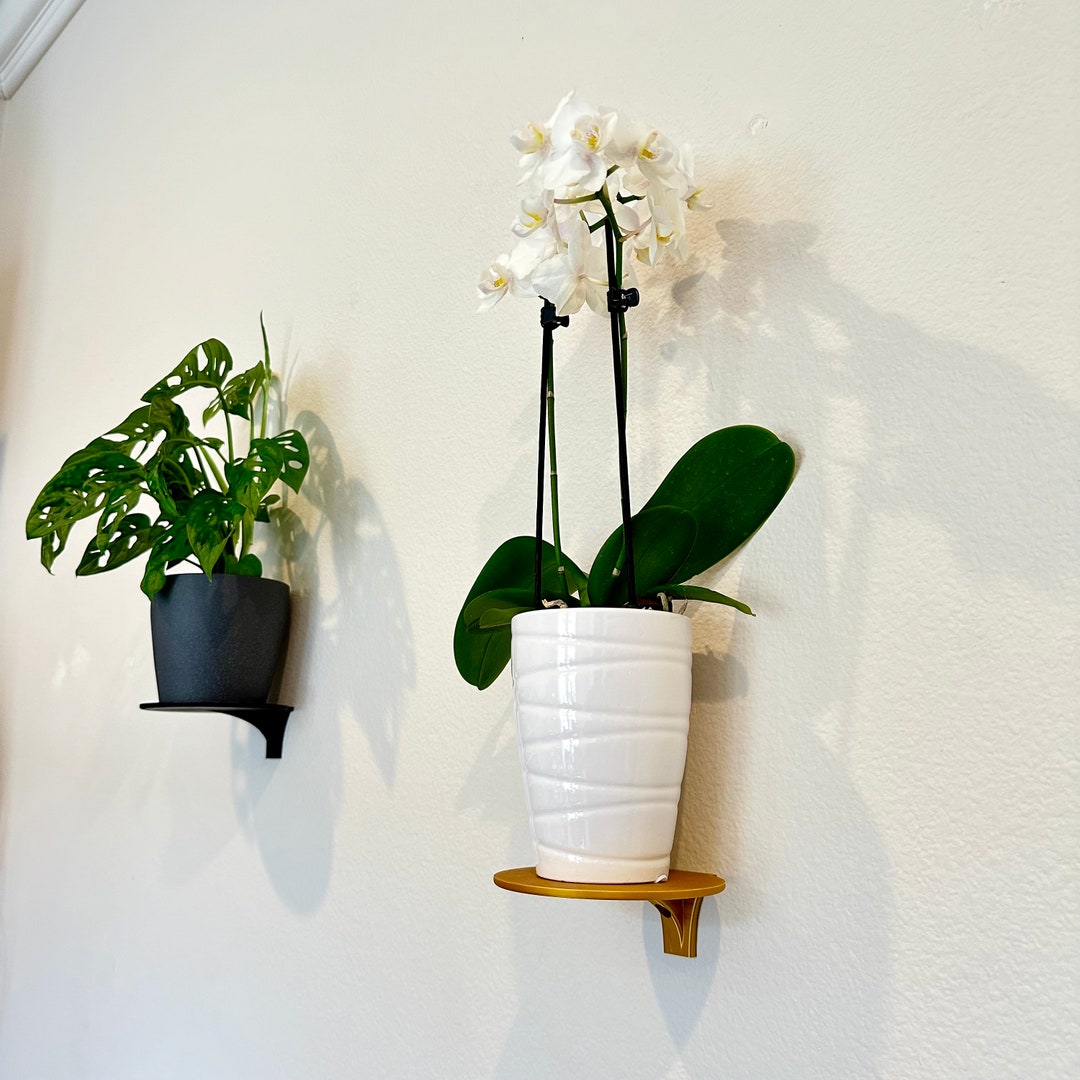 Elegant Wall Mounted Round Shelf, 4.75in in Diameter, Eclectic ...