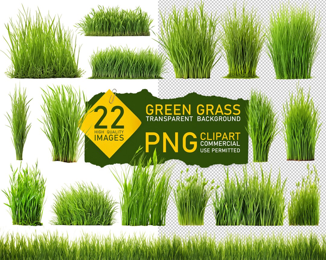 22 PNG Green Grass Clip Arts, Isolated on Transparent Background for Photoshop. Realistic Grass ...
