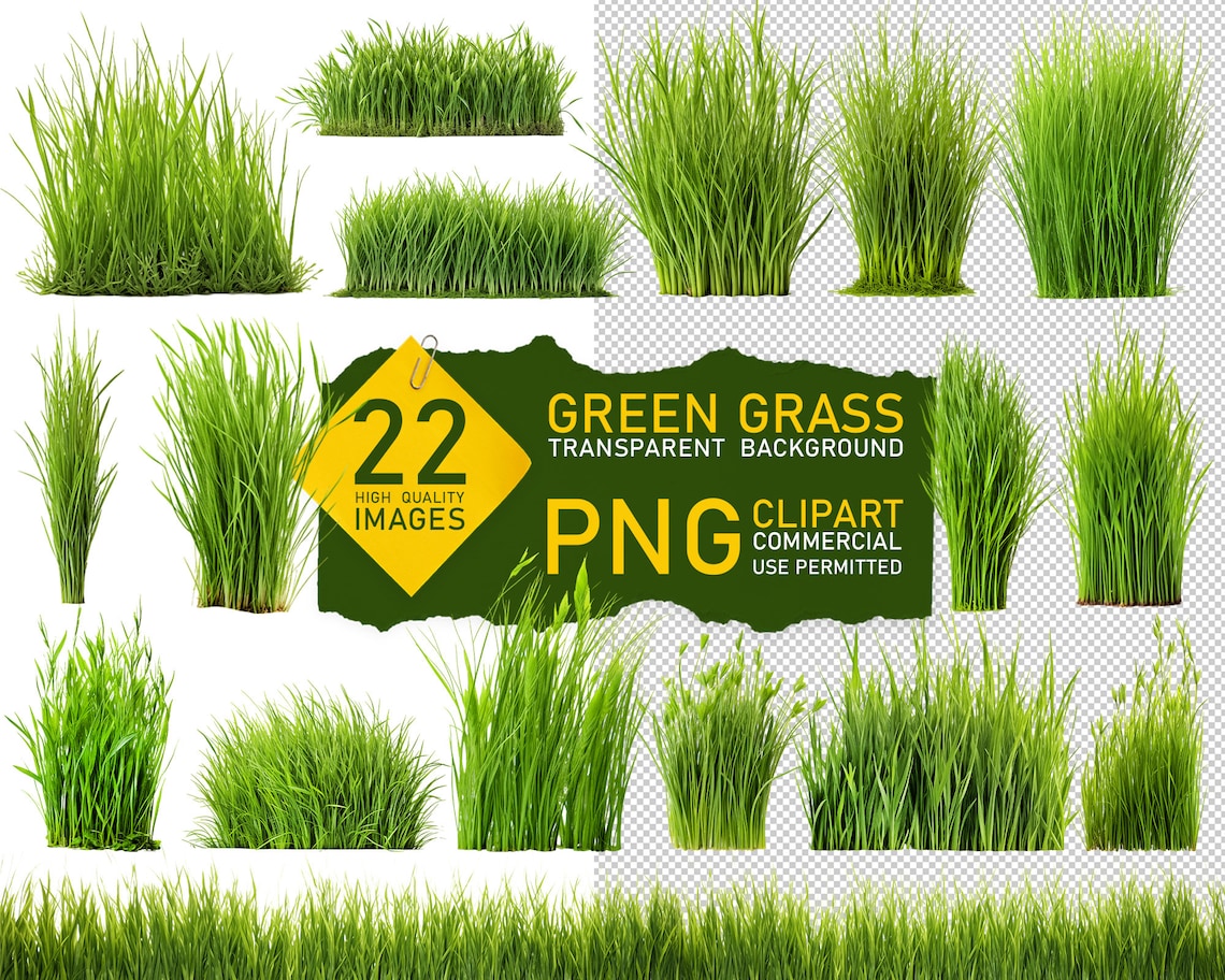 22 PNG Green Grass Clip Arts, Isolated on Transparent Background for Photoshop. Realistic Grass ...