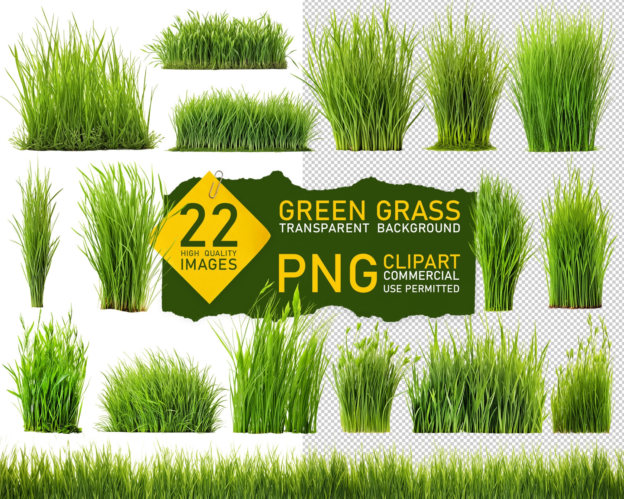22 PNG Green Grass Clip Arts, Isolated on Transparent Background for ...