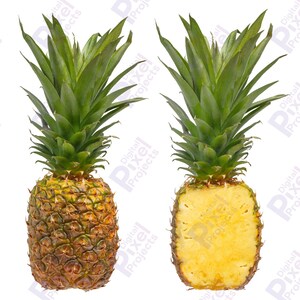 Pineapple Overlays for Photoshop With a Transparent Background. 20 PNG ...