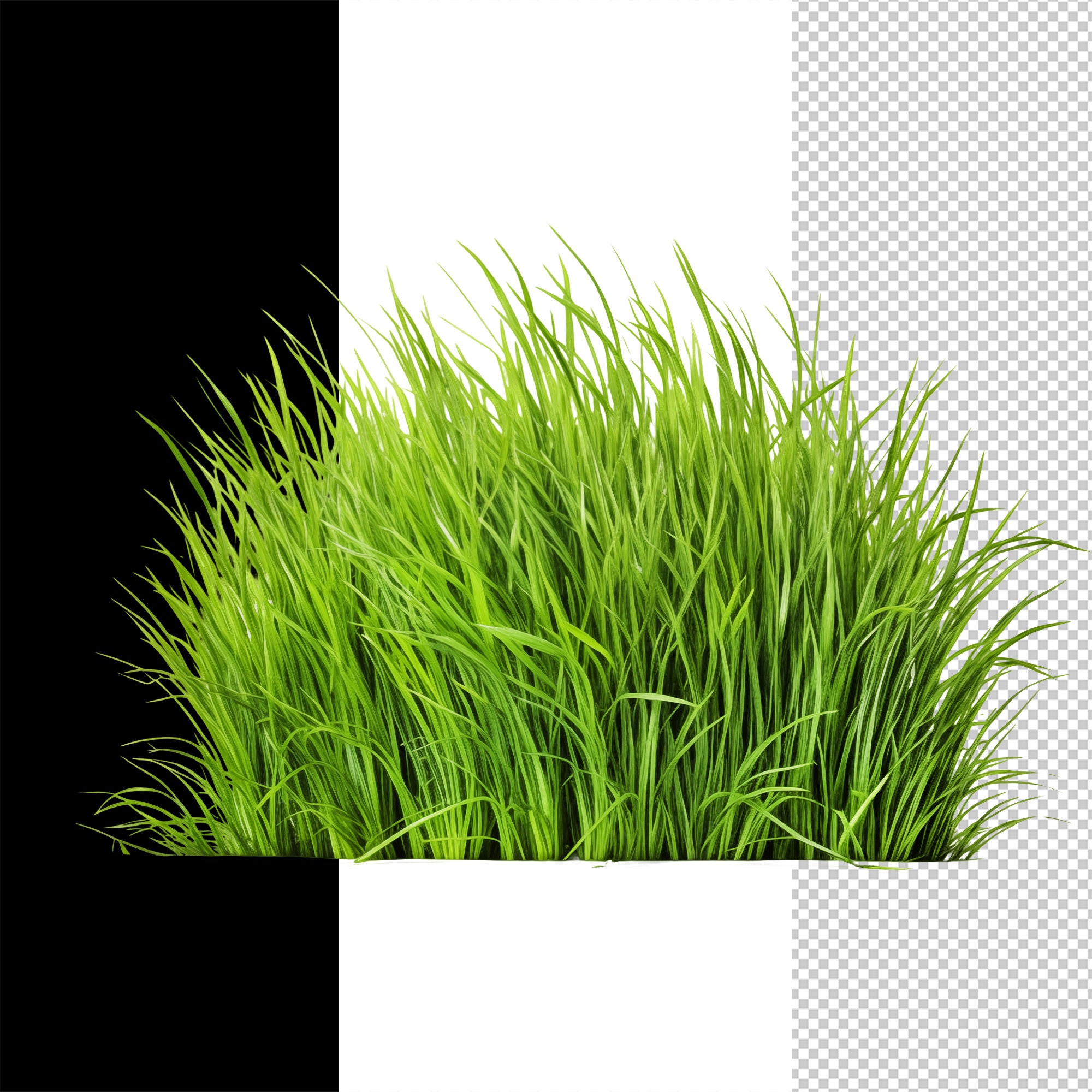 22 PNG Green Grass Clip Arts, Isolated on Transparent Background for ...