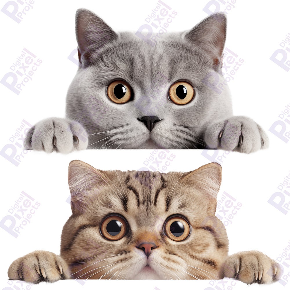 11 PNG Overlays With Images of Cats of Different Breeds on a ...