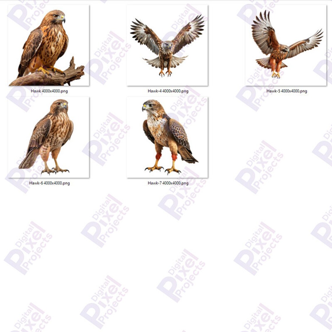 5 High-quality PNG Hawk Overlays for Printing Scrapbooking - Etsy