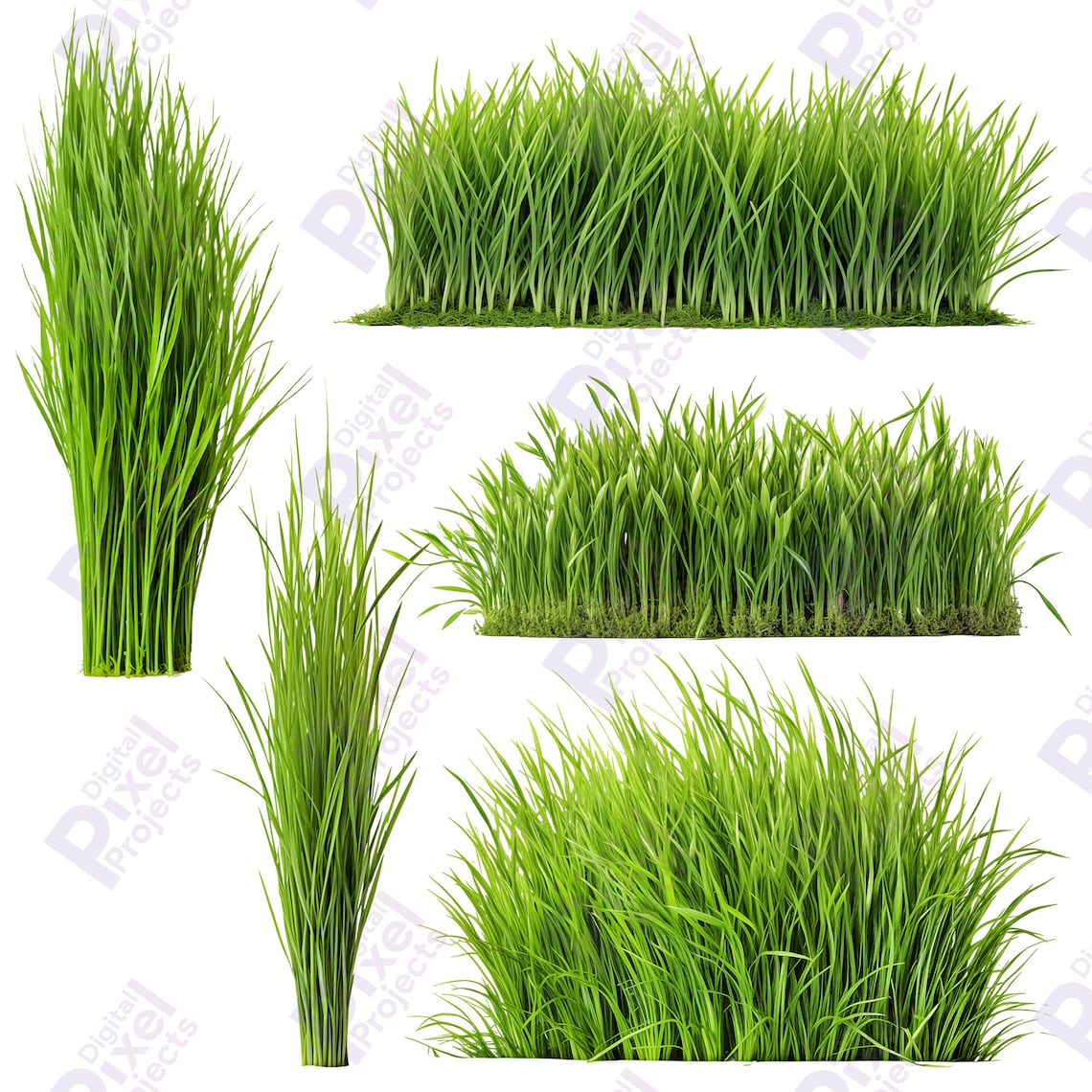 22 PNG Green Grass Clip Arts, Isolated on Transparent Background for Photoshop. Realistic Grass ...