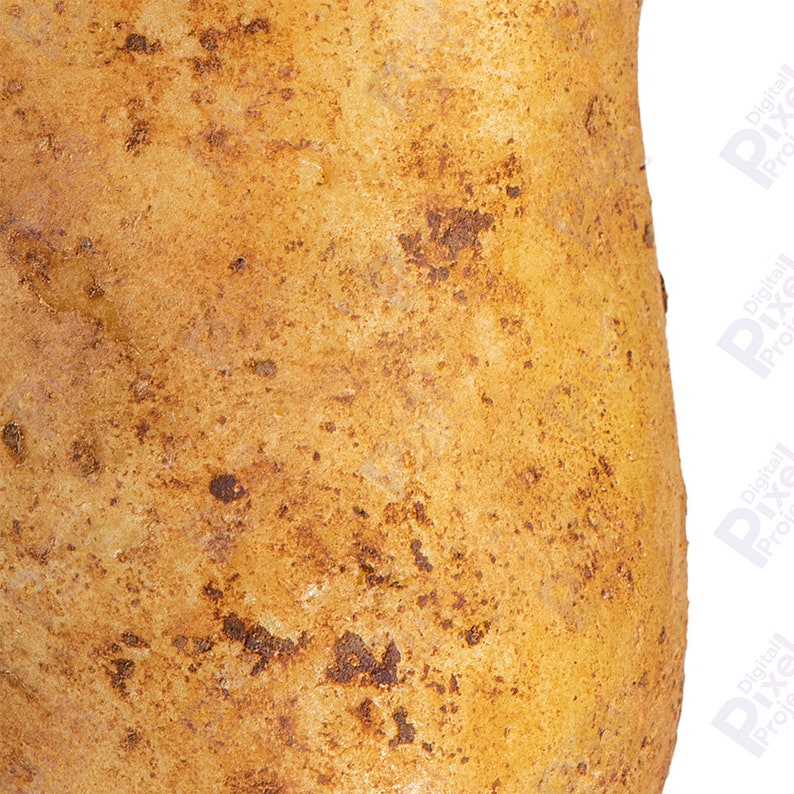 Set of Potato Cliparts in PNG Format for Instant Download. 16 PNG Photo ...