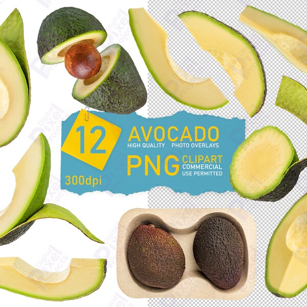 Avocado - Etsy