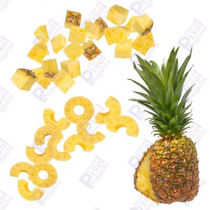 Pineapple Overlays for Photoshop With a Transparent Background. 20 PNG ...