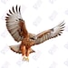 5 High-quality PNG Hawk Overlays for Printing Scrapbooking - Etsy