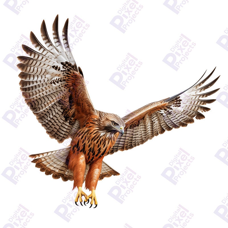 5 High-quality PNG Hawk Overlays for Printing, Scrapbooking, and Design ...