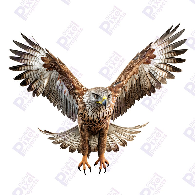 5 High-quality PNG Hawk Overlays for Printing, Scrapbooking, and Design ...