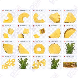 Pineapple Overlays for Photoshop With a Transparent Background. 20 PNG ...
