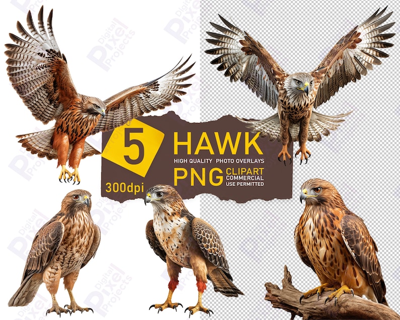 5 High-quality PNG Hawk Overlays for Printing, Scrapbooking, and Design ...