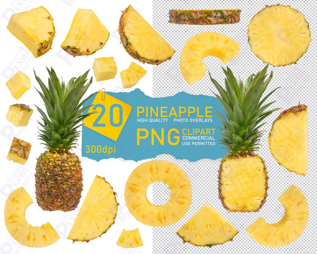Pineapple Overlays for Photoshop With a Transparent Background. 20 PNG ...