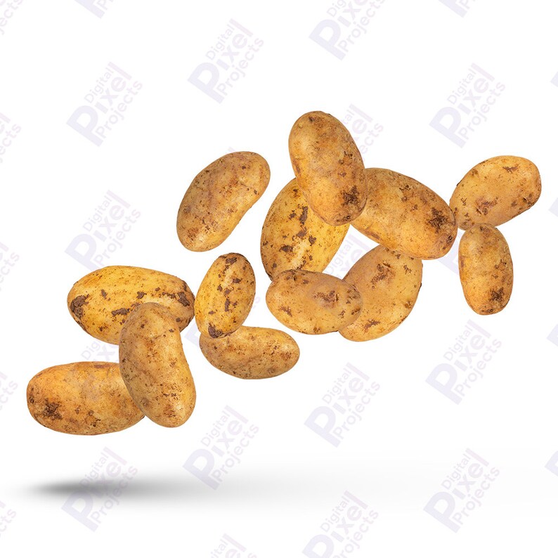 Set of Potato Cliparts in PNG Format for Instant Download. 16 PNG Photo ...