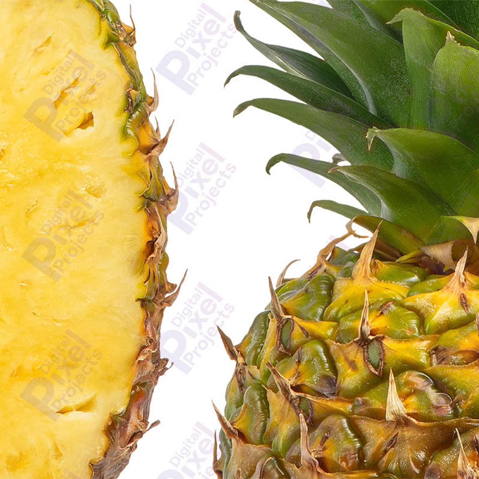 Pineapple Overlays for Photoshop With a Transparent Background. 20 PNG ...