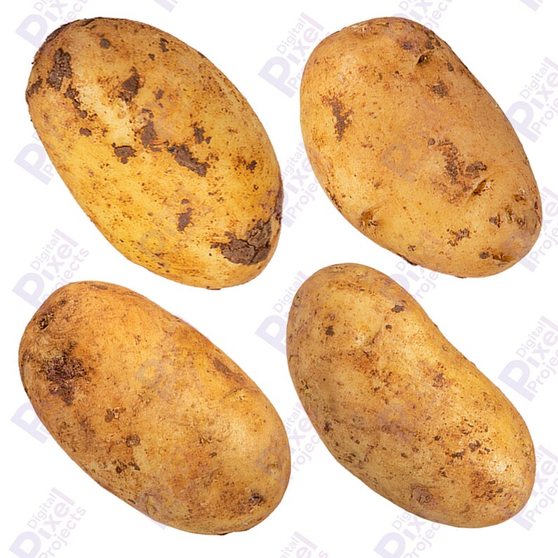 Set of Potato Cliparts in PNG Format for Instant Download. 16 PNG Photo ...
