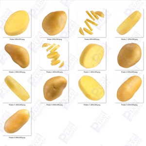 Set of Potato Cliparts in PNG Format for Instant Download. 13 PNG Photo ...