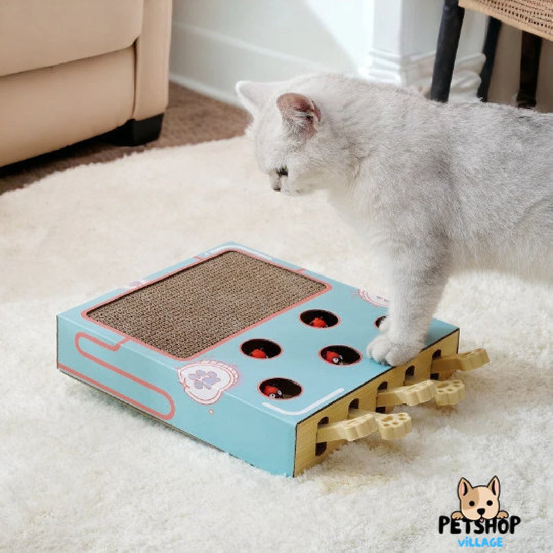 Interactive Cat Board Game, Whack A Mole Game for Cats, Fun Games for ...