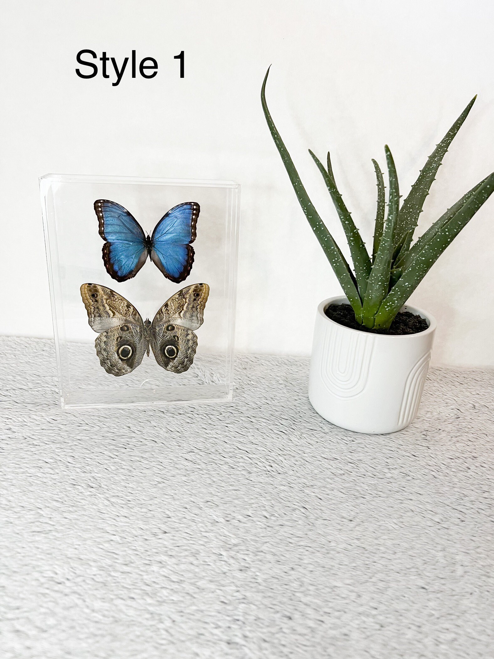 Clear Frame Buttefly Picture - Etsy